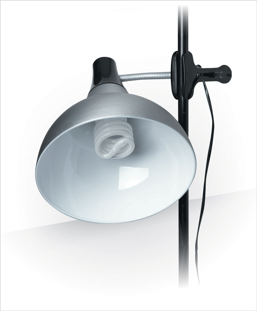 Daylight Artist Clip-on Studio Lamp, Satin Silver | Rex Art Supplies
